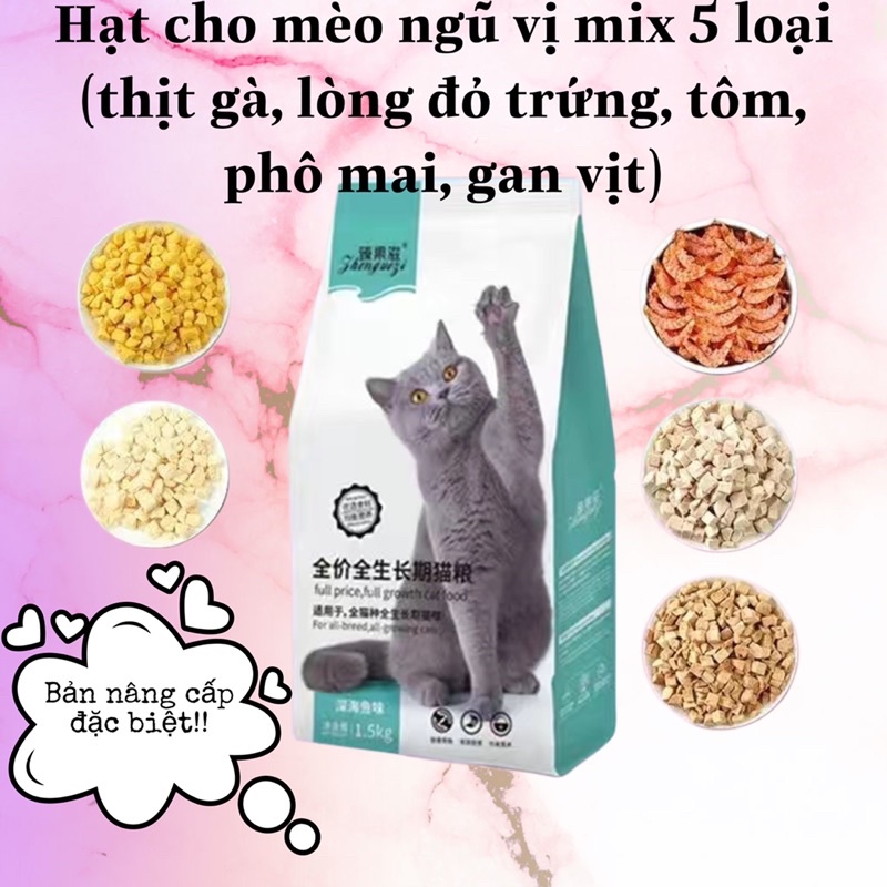 (UPGRADE Version) Premium cat seeds mixed with super nutritious FIVE ...