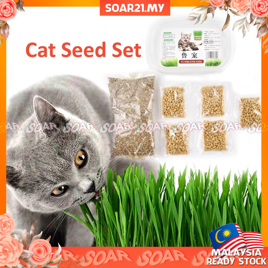 SOAR21 Cat Grass Full Set Cat Seed Set SOAR21 Cat Grass Full Set Cat ...