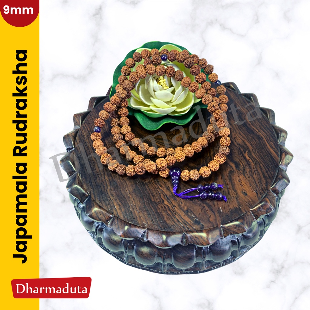 Japamala Rudraksha Jenitri Genitri 9mm 108 Natural Buddhis Prayer Beads ...