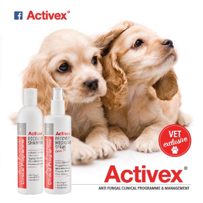 [LOCAL STOCK] ActiveX Anti-Fungal Treatment Set [Recovery Shampoo 250ml + Medicated Spray 250ml ...