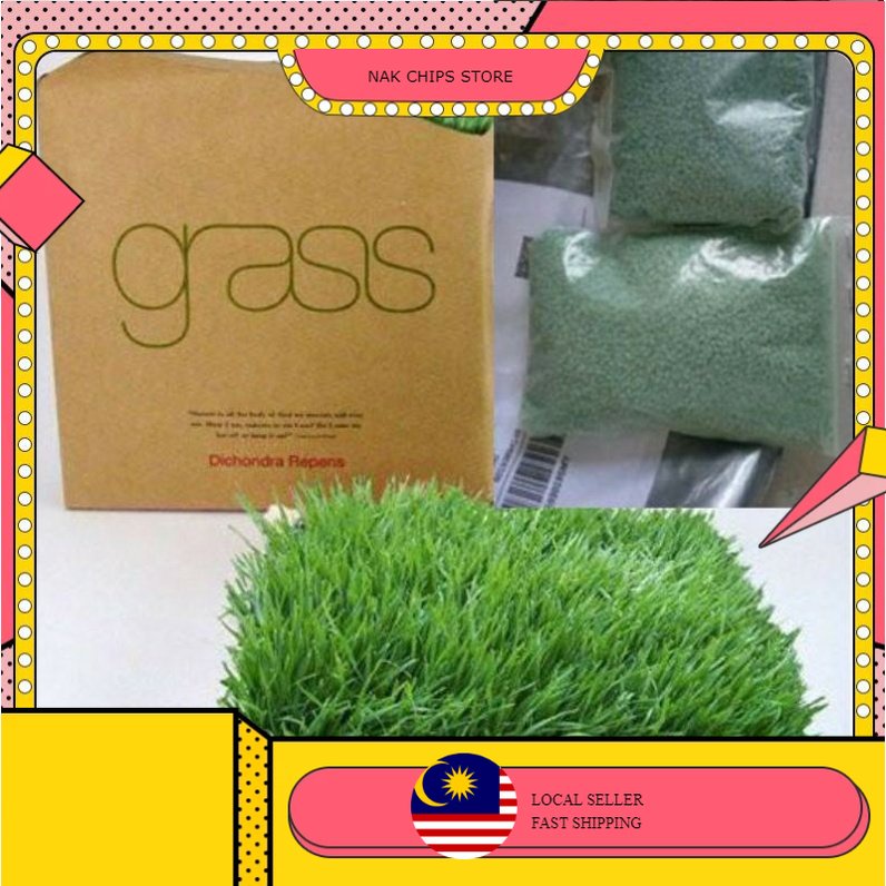 🏡🏡 AAA Quality Japanese 🇯🇵Grass, High Grade Seed 🏡🏡 200 gram FREE BAJA ...