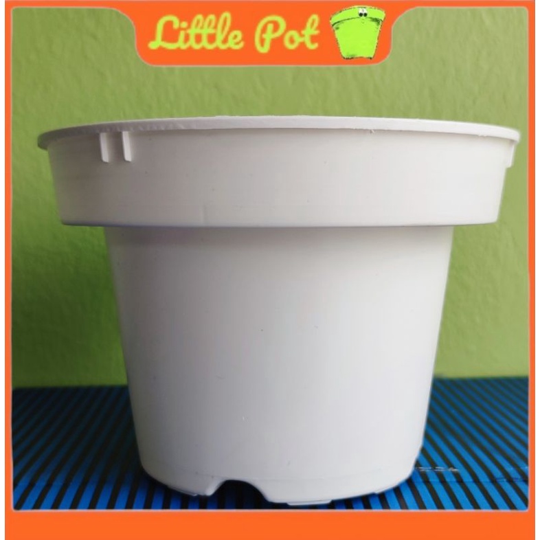 16CM Flower Pot Pasu Bunga Plastik Pasu Sayur Pasu Putih White Pot ...