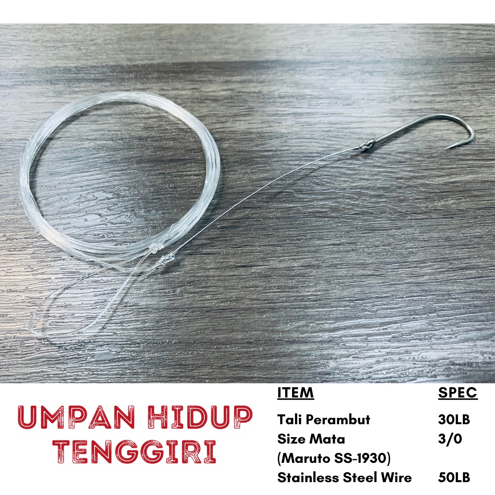 Perambut Kolam/Laut/ Siakap/ Jenahak/ Kerapu/ Tenggiri/ Casting/Sotong ...