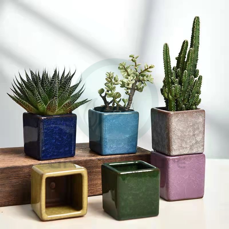 Succulent Pot Cactus Pot Ceramic Pot Zakka Minimalism Planter Pasu ...