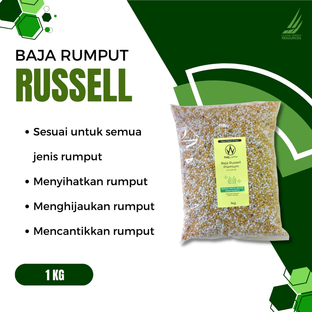 [1KG] Baja Rumput Karpet Russell Baja Rumput Jepun Mutiara PearlGrass ...