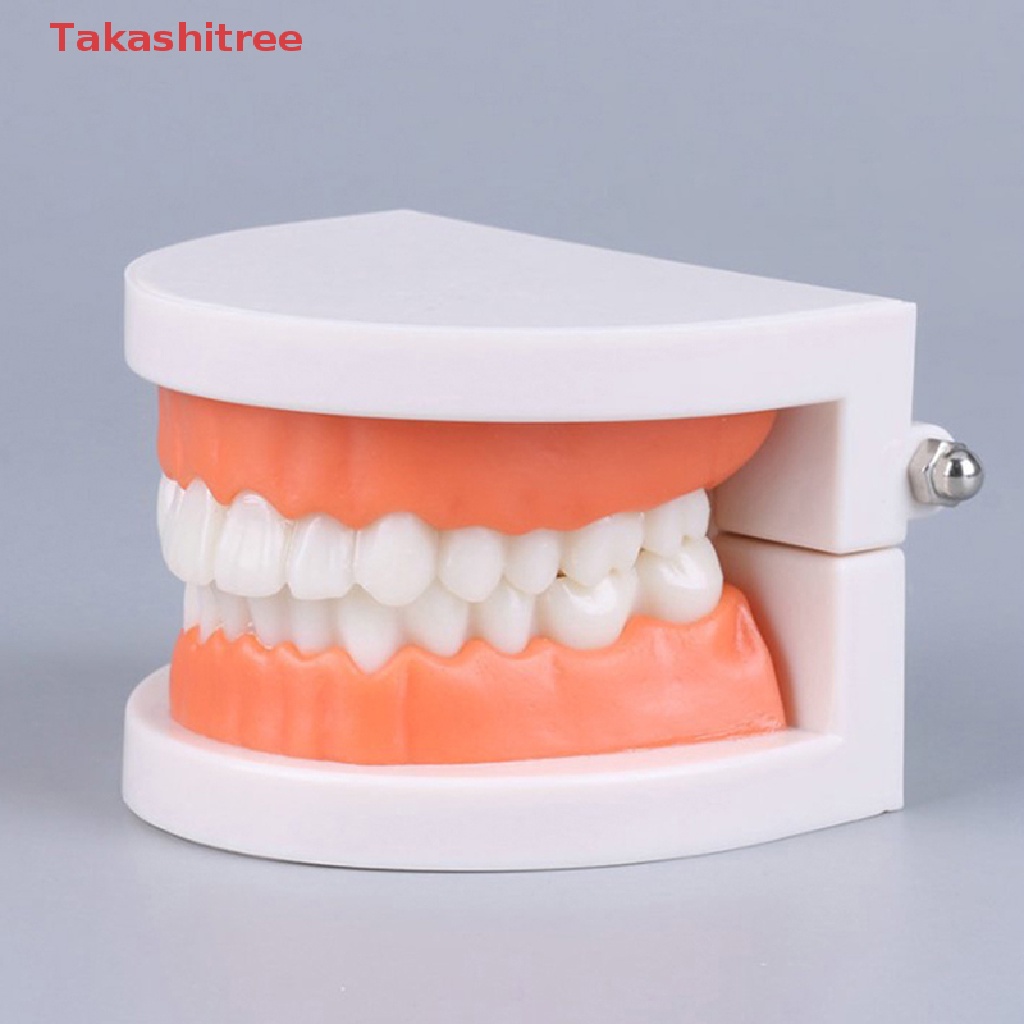 (Takashitree) Standard Teeth Model Adult Standard Typodont ...