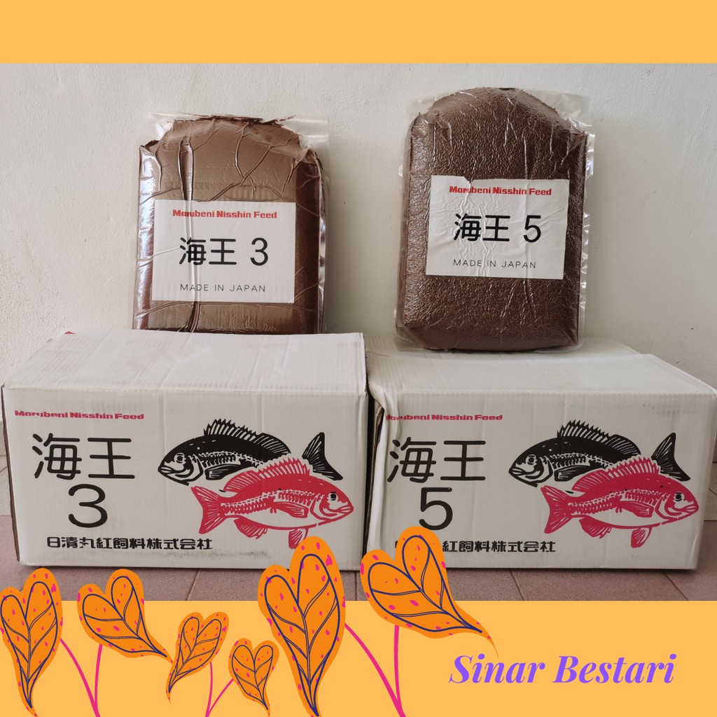 *Fresh Marubeni Seamaster No3 No5 F00 Dedak Pallet Jepun High Protien ...