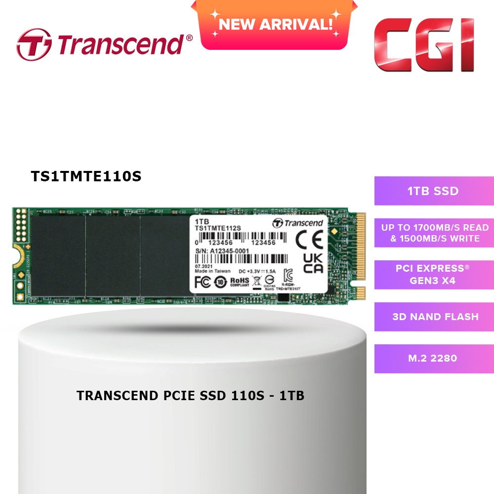 Transcend 1TB PCle 110S 3D NAND M.2 2280 SSD - TS1TMTE110S | Shopee ...