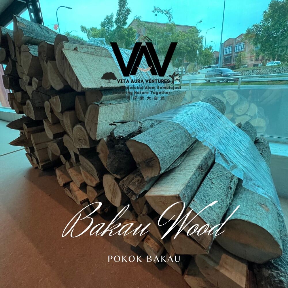 Kayu Api by KL Firewood (Made in Malaysia) | Shopee Malaysia