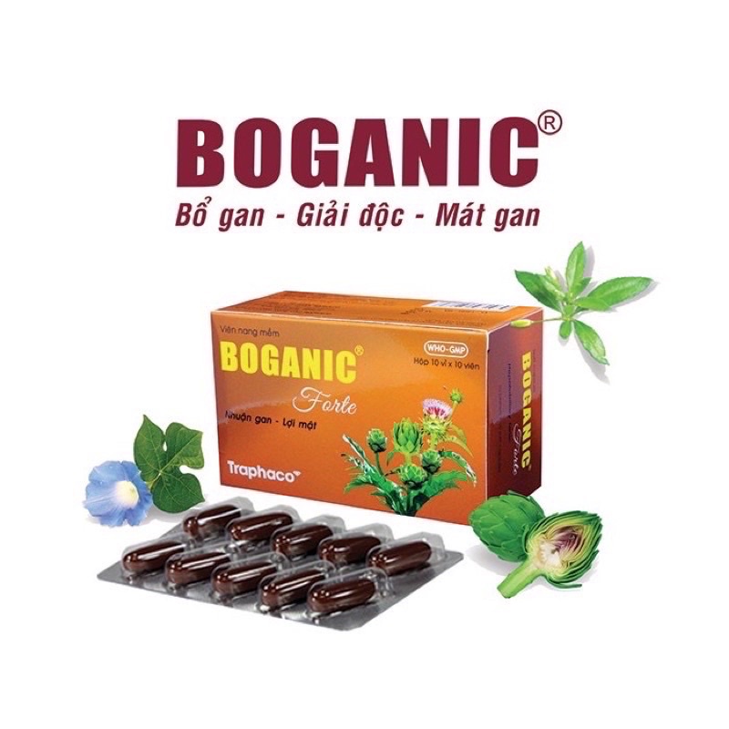 (Chính Hãng )Giải độc gan BOGANIC - mát gan, lợi mật, tăng cường chức ...