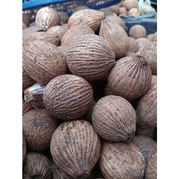 buah kulim segar baru 1kg RM14.50 | Shopee Malaysia
