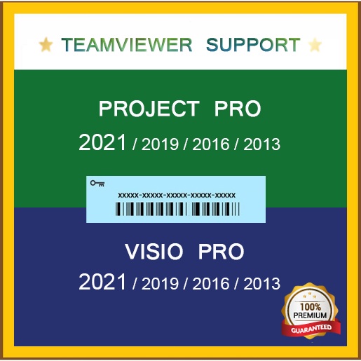 MS Project Visio 2021/2019/2016 Pro Activate Service (TeamViewer ...