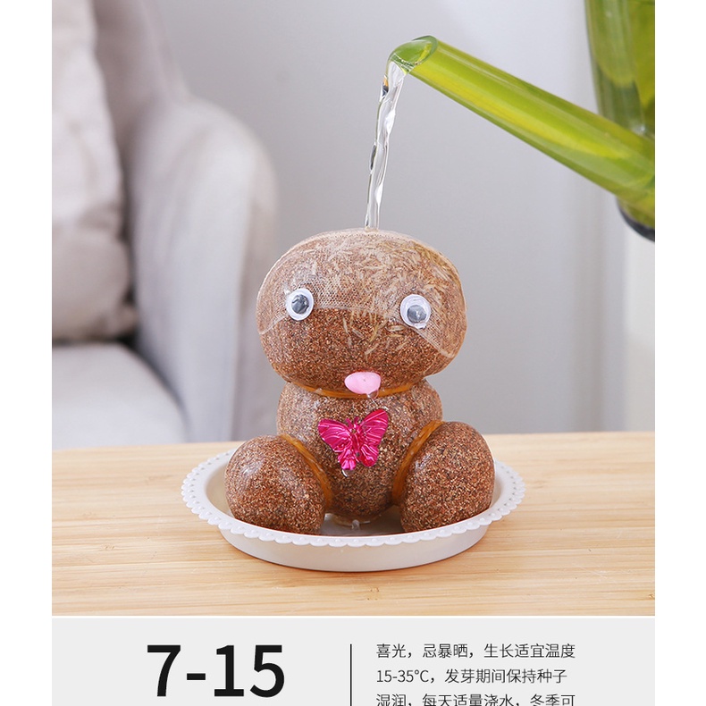 长草娃娃 Grass Head Toy Planting for Children 草头娃娃 儿童礼物 Ryegrass Grass Head ...