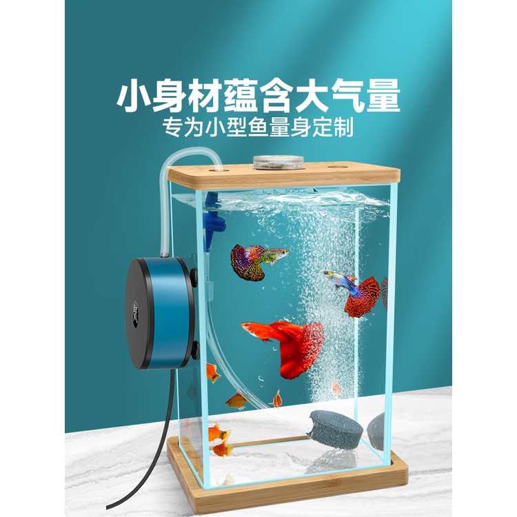 Pam oksigen mini tangki ikan kecil rumah akuarium pengoksigenan ...