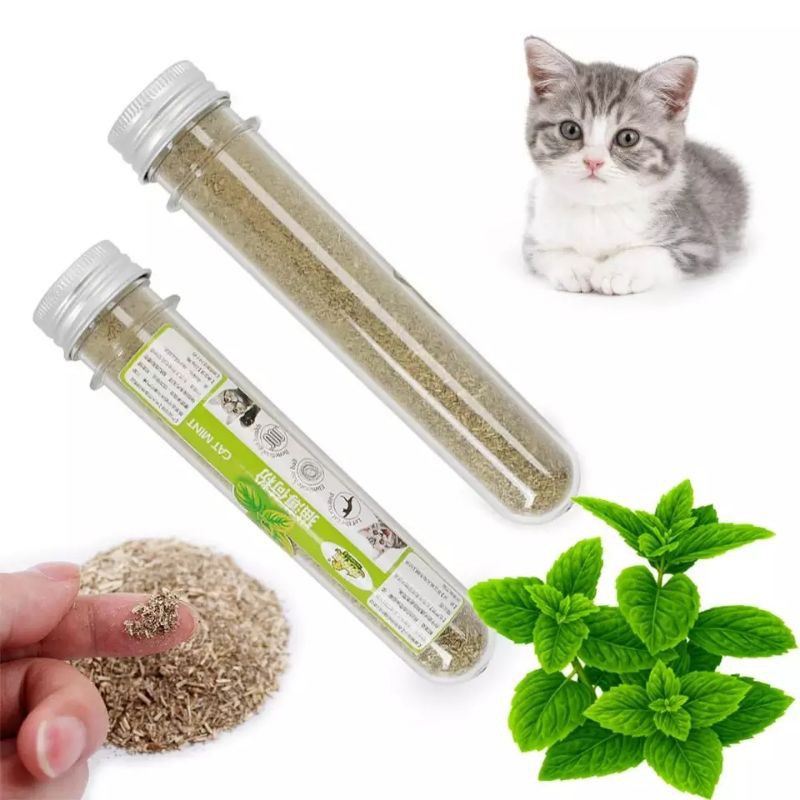 Catnip Test Tube Mint Powder Cat Snacks Natural Hairball Control (10g ...