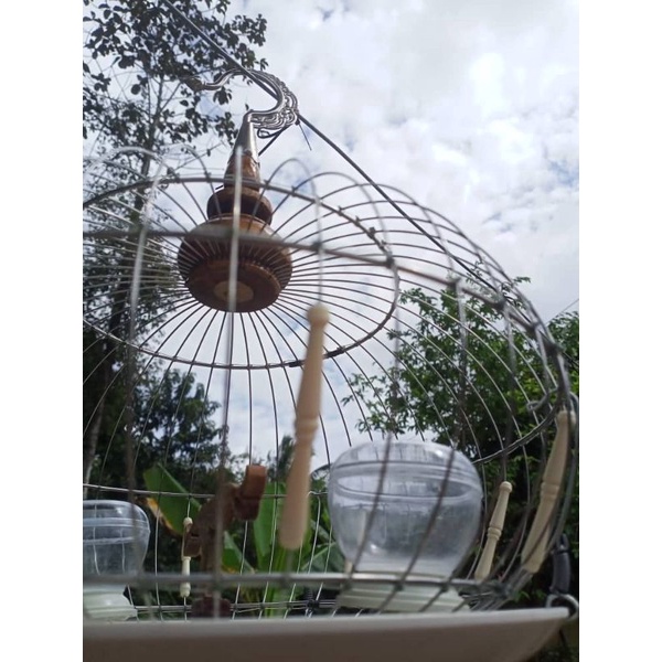 Sangkar Burung Merbuk/Puling (full aksesori) | Shopee Malaysia