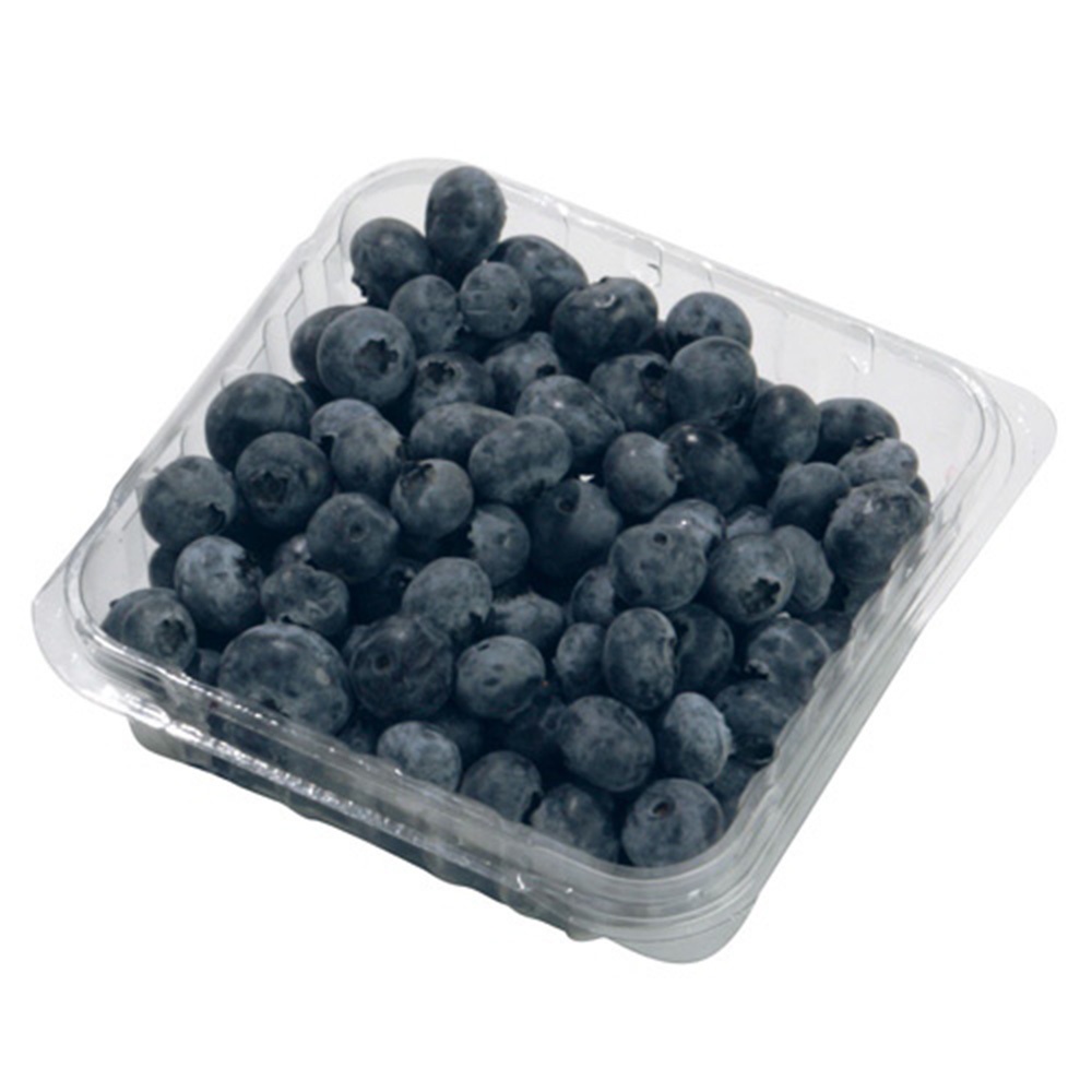 Blueberries Fruits (Pack) Buah Bluberi | Shopee Malaysia