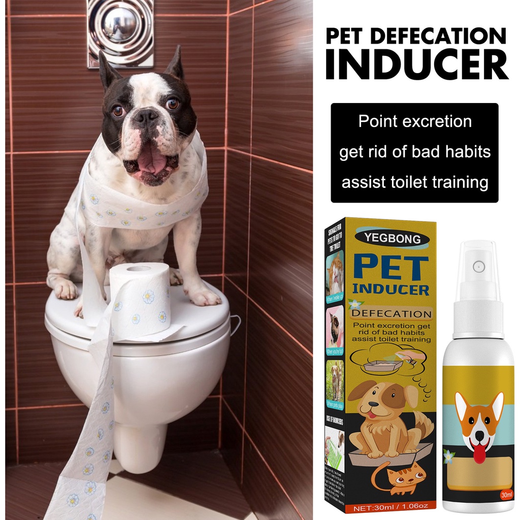 Pet Defecation Localization Inducer, Urine Urine Urine Urine and Urine ...