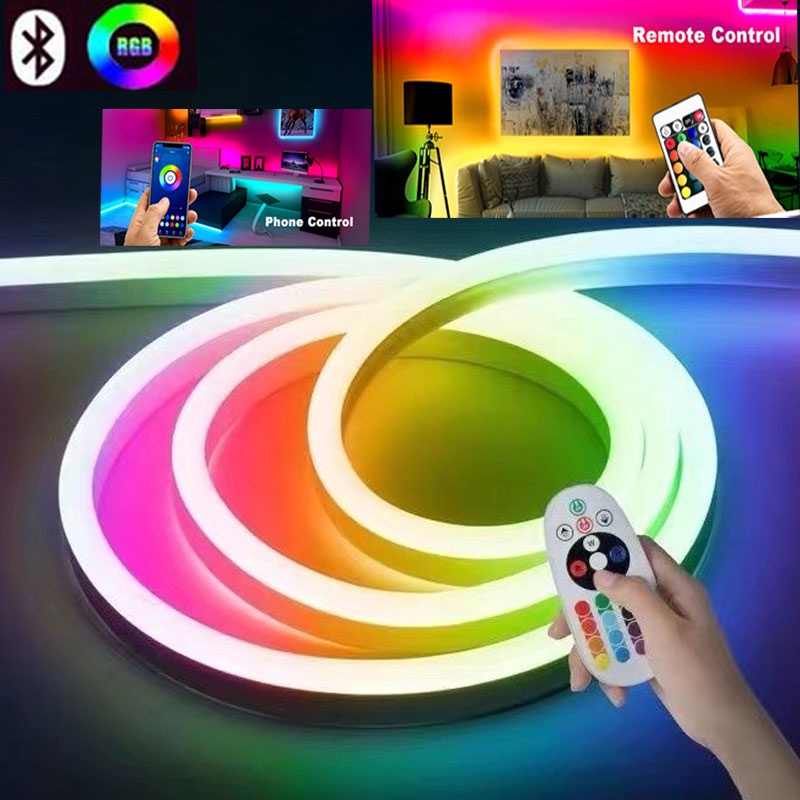 Customized Length RGB Multi Colors LED Neon Light 220V to 12V with ...