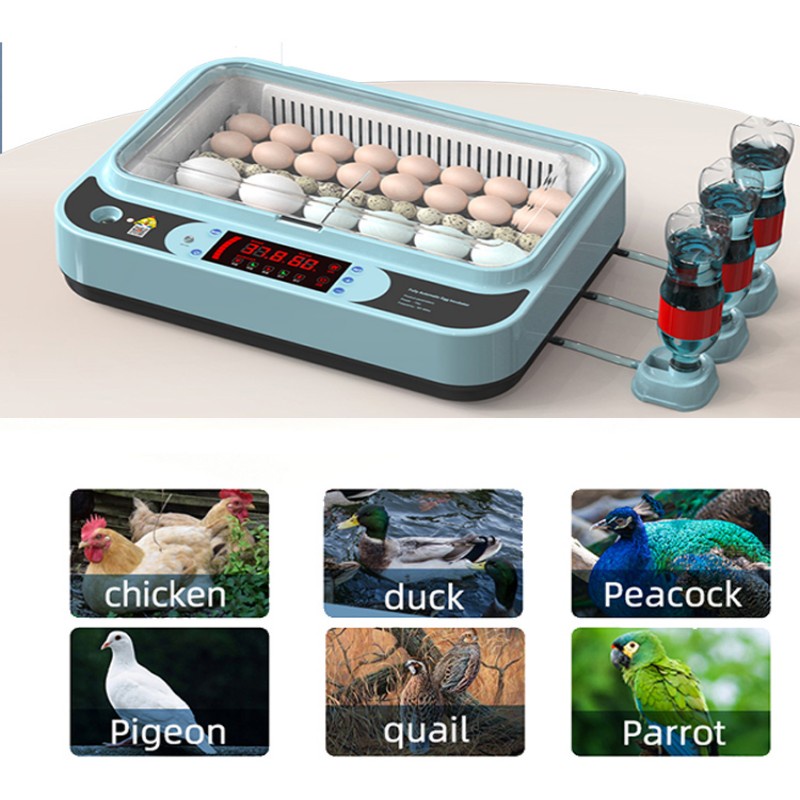 Fully Automatic Incubator Intelligent incubator Controller Farm Birds ...