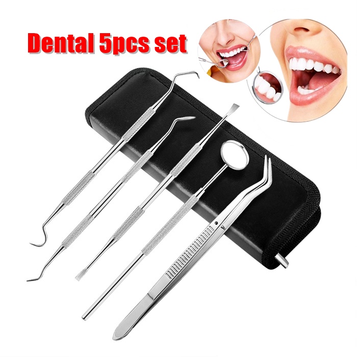 Dental Tools, 5 Pack Teeth Cleaning Tools Set Stainless Steel with ...