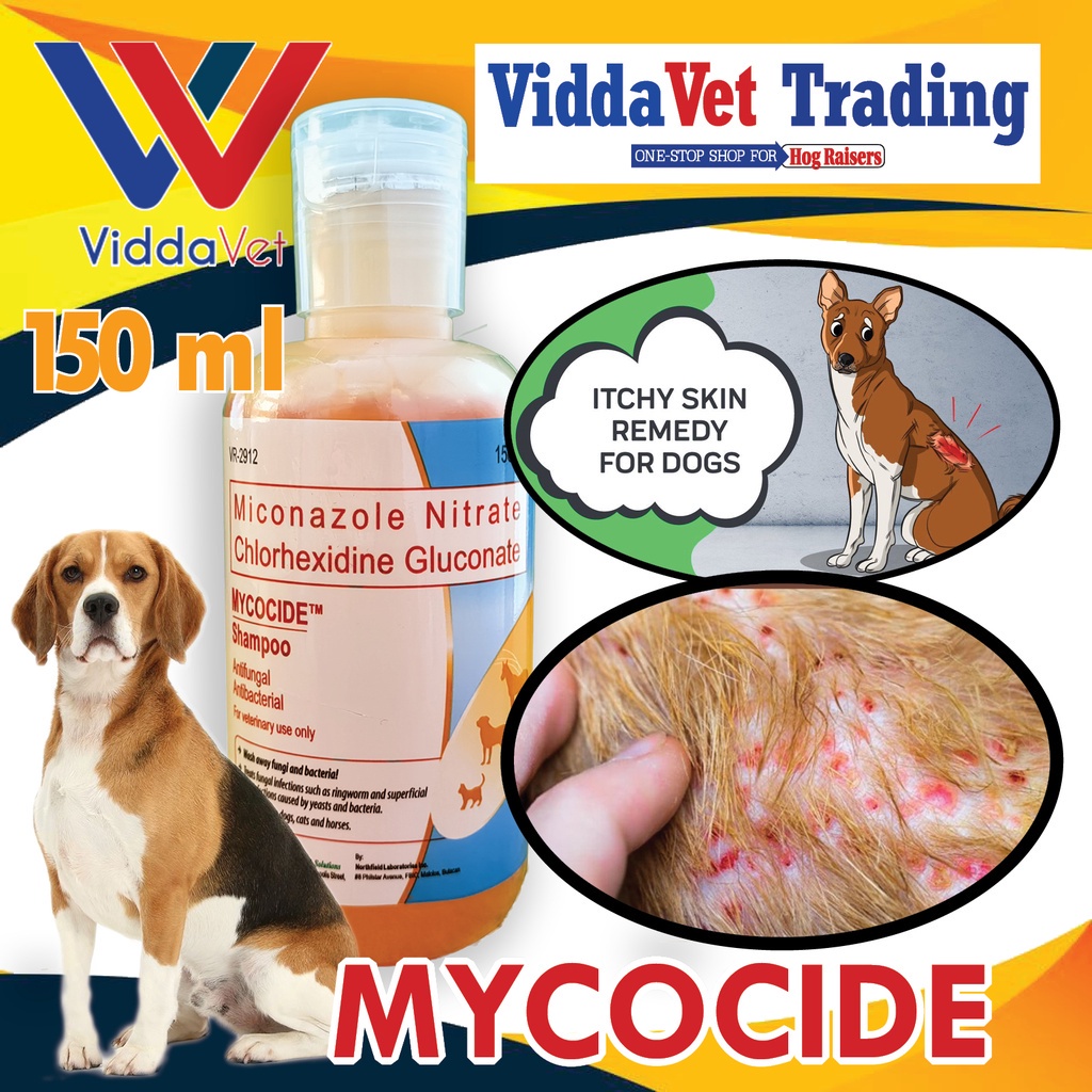 Mycocide Antifungal and Antibacterial Cats and Horse 150ml Mycocide ...