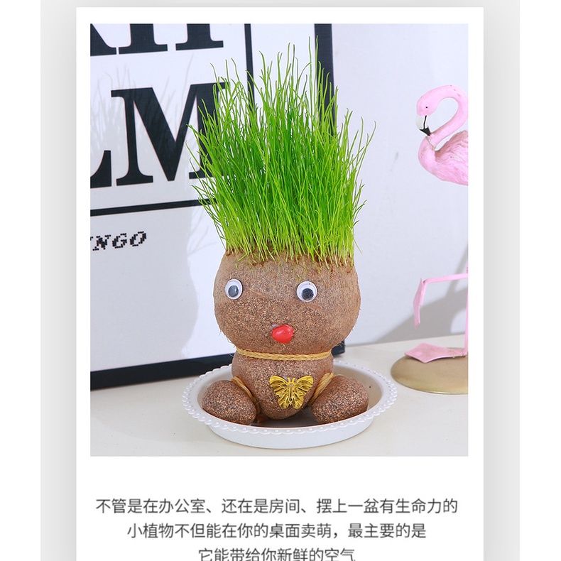 长草娃娃 Grass Head Toy Planting for Children 草头娃娃 儿童礼物 Ryegrass Grass Head ...