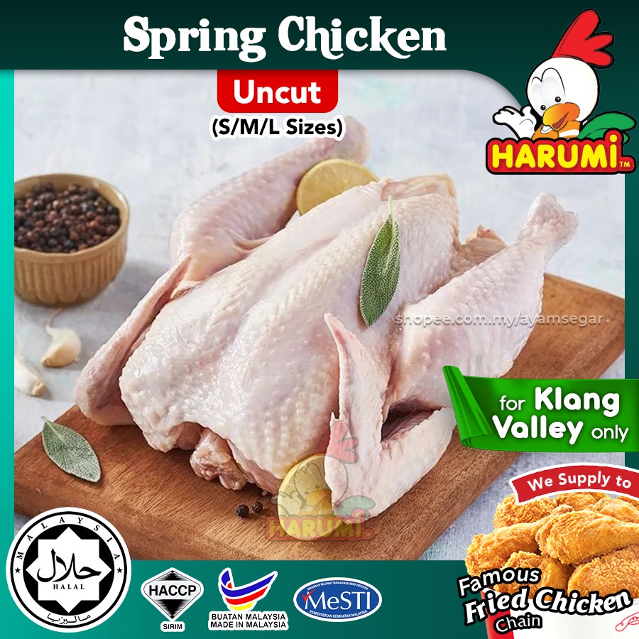 HARUMi Spring Chicken (Uncut) Whole Chicken Meat Daging Frozen Fresh ...