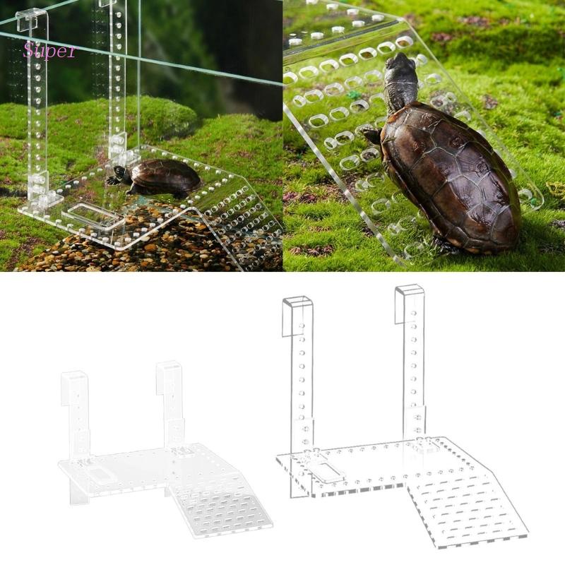 Best Turtle Climbings Basking Platform Tortoises Sunbathe Rest Ramp