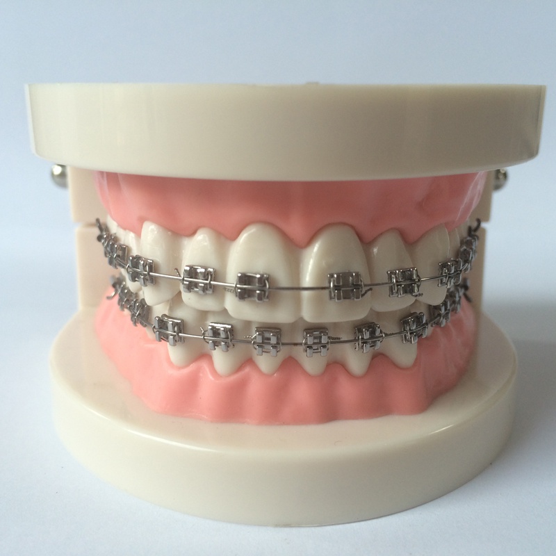 HoubIITE1 Dental orthodontic teaching teeth model/Dental orthodontic ...