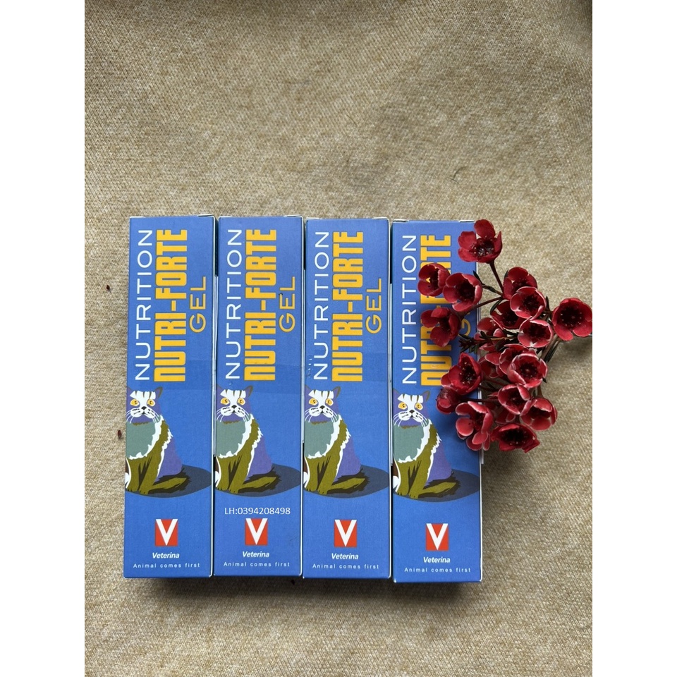 Nutri-Forte Gel vitamin mineral amino acid supplement for dogs and cats ...