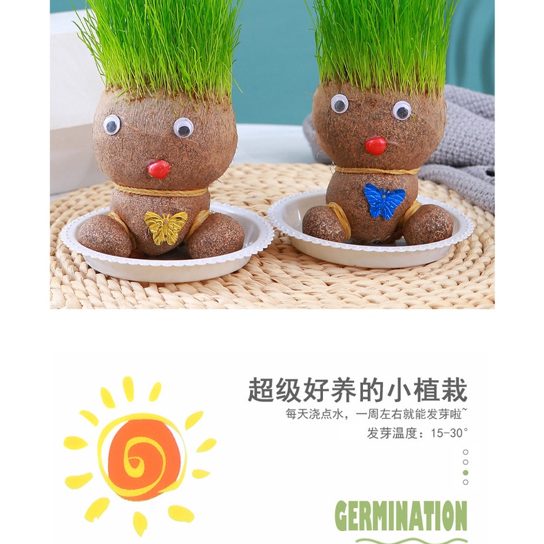 长草娃娃 Grass Head Toy Planting for Children 草头娃娃 儿童礼物 Ryegrass Grass Head ...