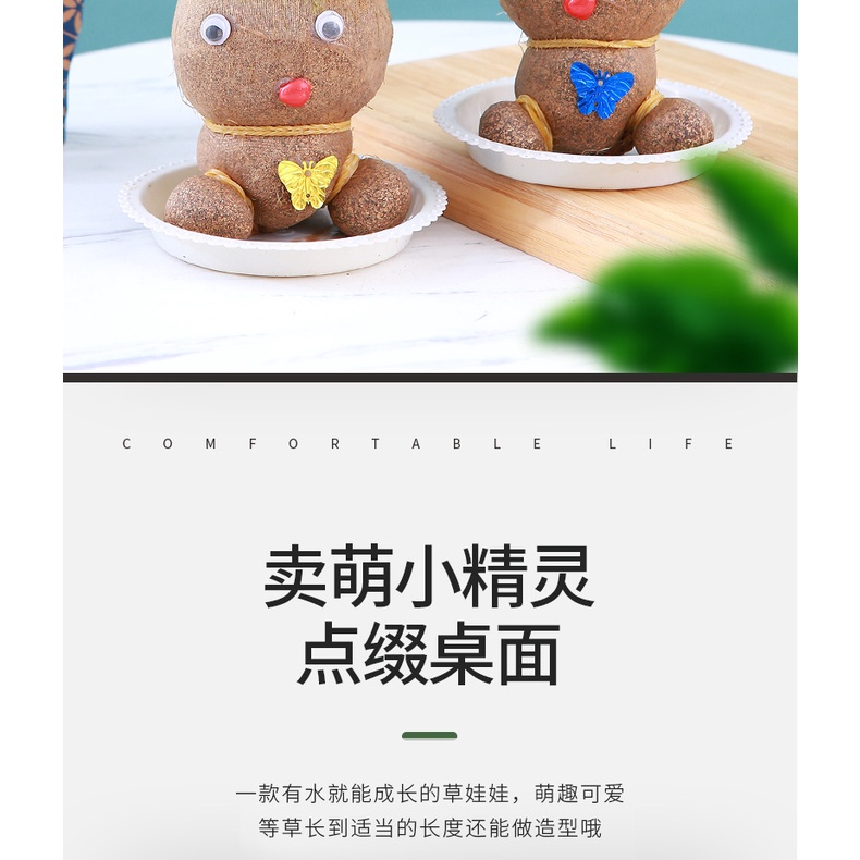 长草娃娃 Grass Head Toy Planting for Children 草头娃娃 儿童礼物 Ryegrass Grass Head ...