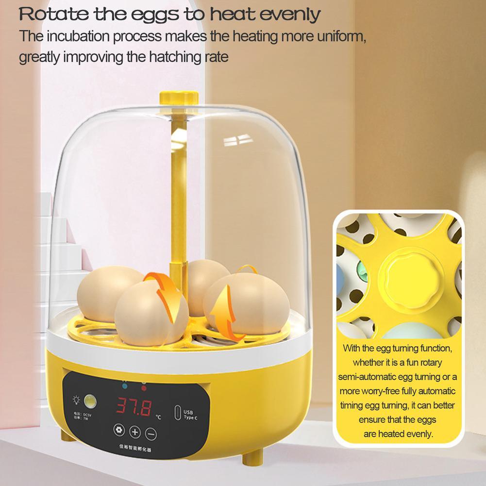 Chick Incubator Chicken Egg Incubator Automatic Incubator Mini ...