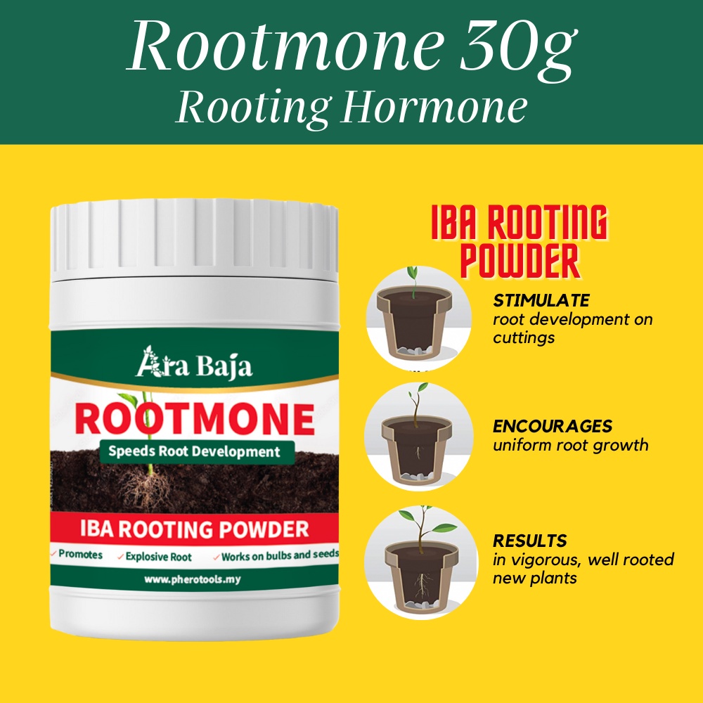 Pherotools 30G Rootmone (IBA Rooting Hormone For Rooting Plants ...