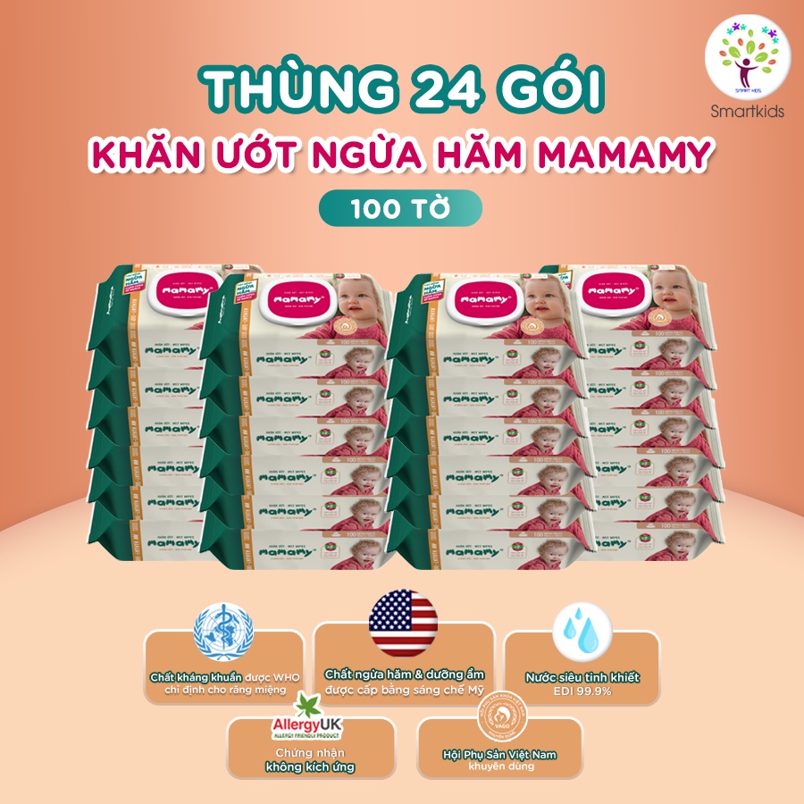 Combo of 24 Packs of Mamamy Wet Wipes 100 Sheets/pack (1 BOX) | Shopee ...
