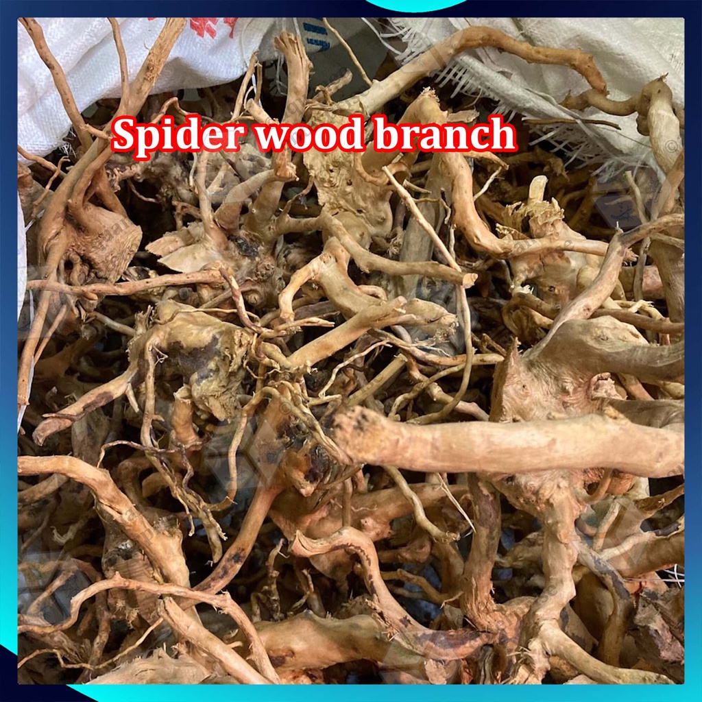 Aquarium Decoration Spider Wood Driftwood Branch Aquascape | driftwood ...