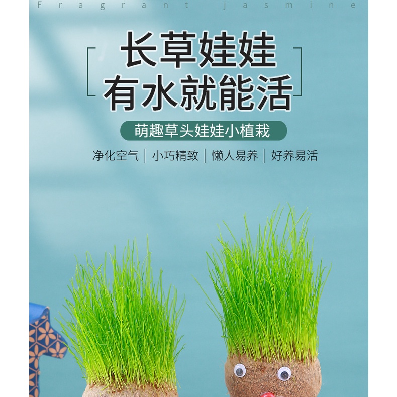 长草娃娃 Grass Head Toy Planting for Children 草头娃娃 儿童礼物 Ryegrass Grass Head ...