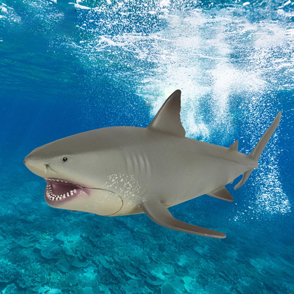 Simulation Marine Sea Life Megalodon Action Figure Big Ocean Animals ...