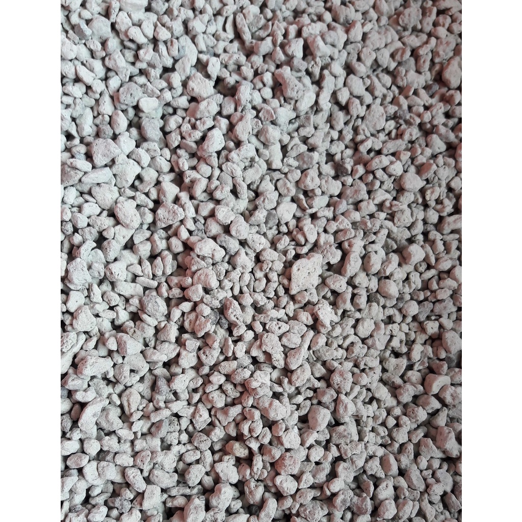 Pumice 1 Liter (3-6mm) Pebble Stone Gardening Soil Mix Cactus and ...