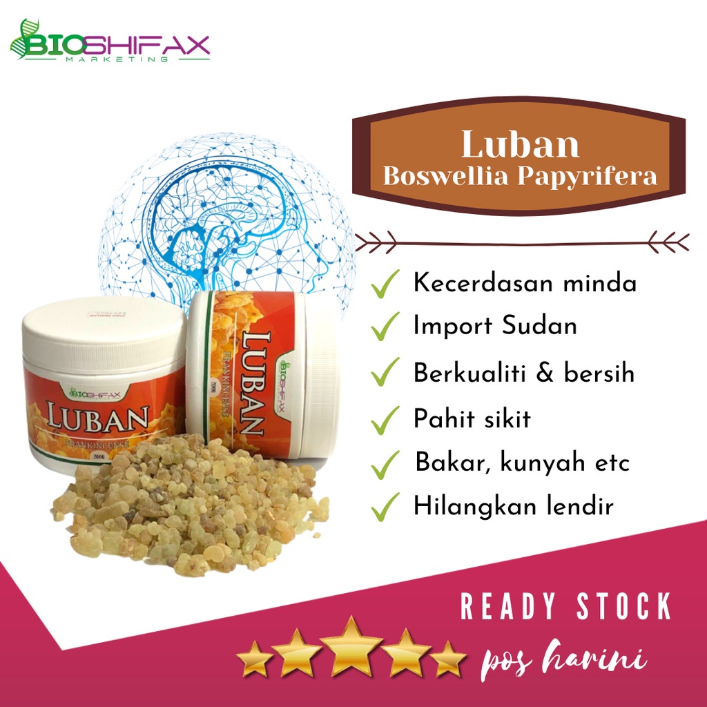 Luban Raw / Luban Biji / Raw Frankincense - Bioshifax | Shopee Malaysia