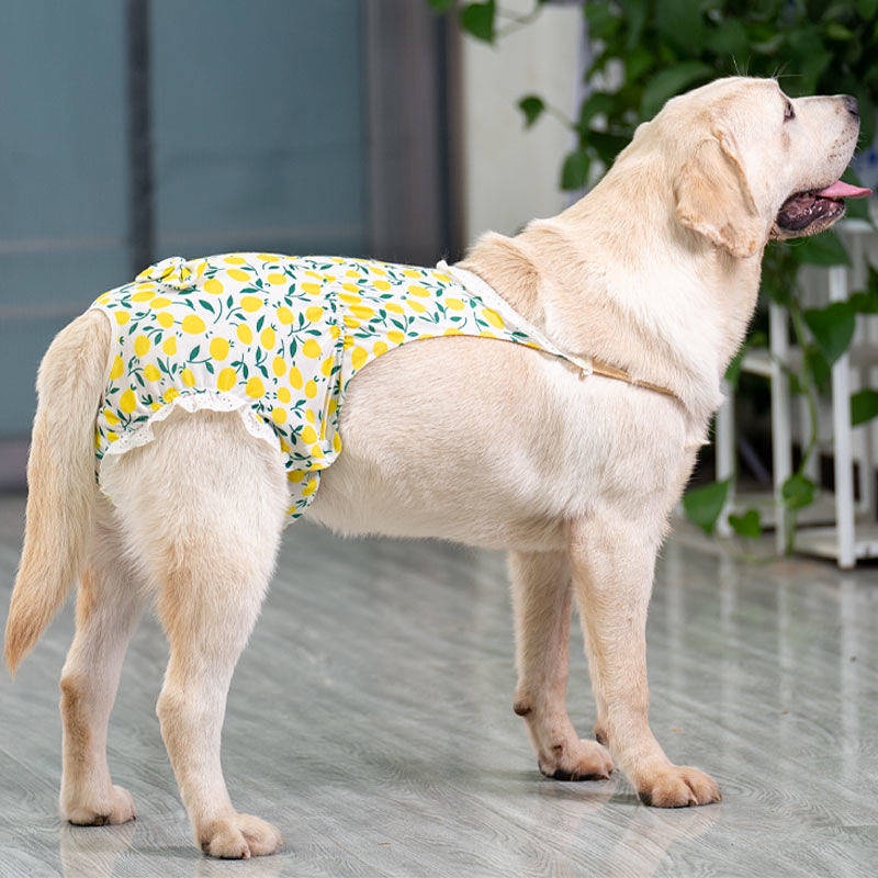 Dog Menstrual Panties Pants for Menstrual Period Female Dog Anti-Mating ...