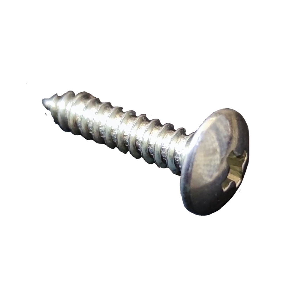Grippes Screw 1 x 2 cm Chrome ( 30PCS), Wood Screw 1" Chrome Philips ...