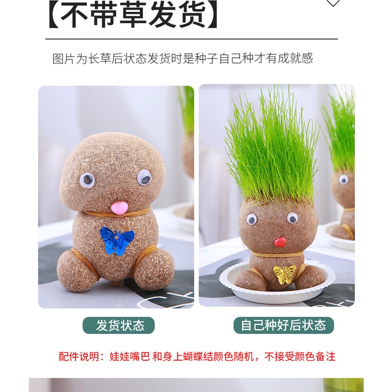 长草娃娃 Grass Head Toy Planting for Children 草头娃娃 儿童礼物 Ryegrass Grass Head ...