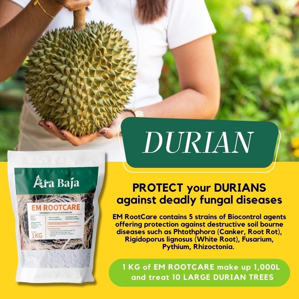 Pherotools EM Rootcare 100g / 1KG Trichoderma & Bacillus Bio fungicide Kulat Pokok Boosts plant ...