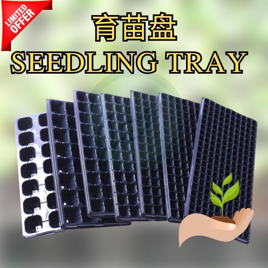 (5pcs) 育苗盘 Holes Seedling Tray Plastic Nursery TrayBekas Benih Plastic ...