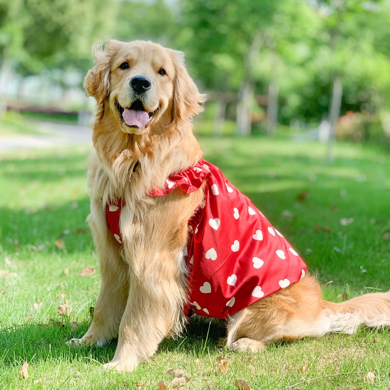 Dog Skirt Large Dog Summer Thin Golden Retriever Samoyed Princess Style ...