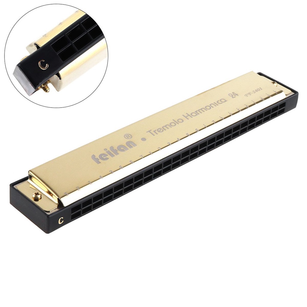 10 Hole 24 Hole Harmonica 8K Titanium Tremolo Tone Key C Harmonica Harp ...
