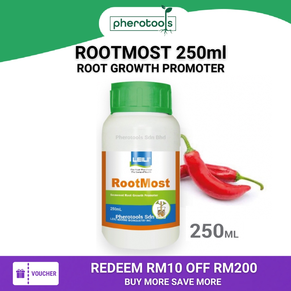 Pherotools LEILI 250ML RootMost Seaweed Fertilizer Stronger & Root ...