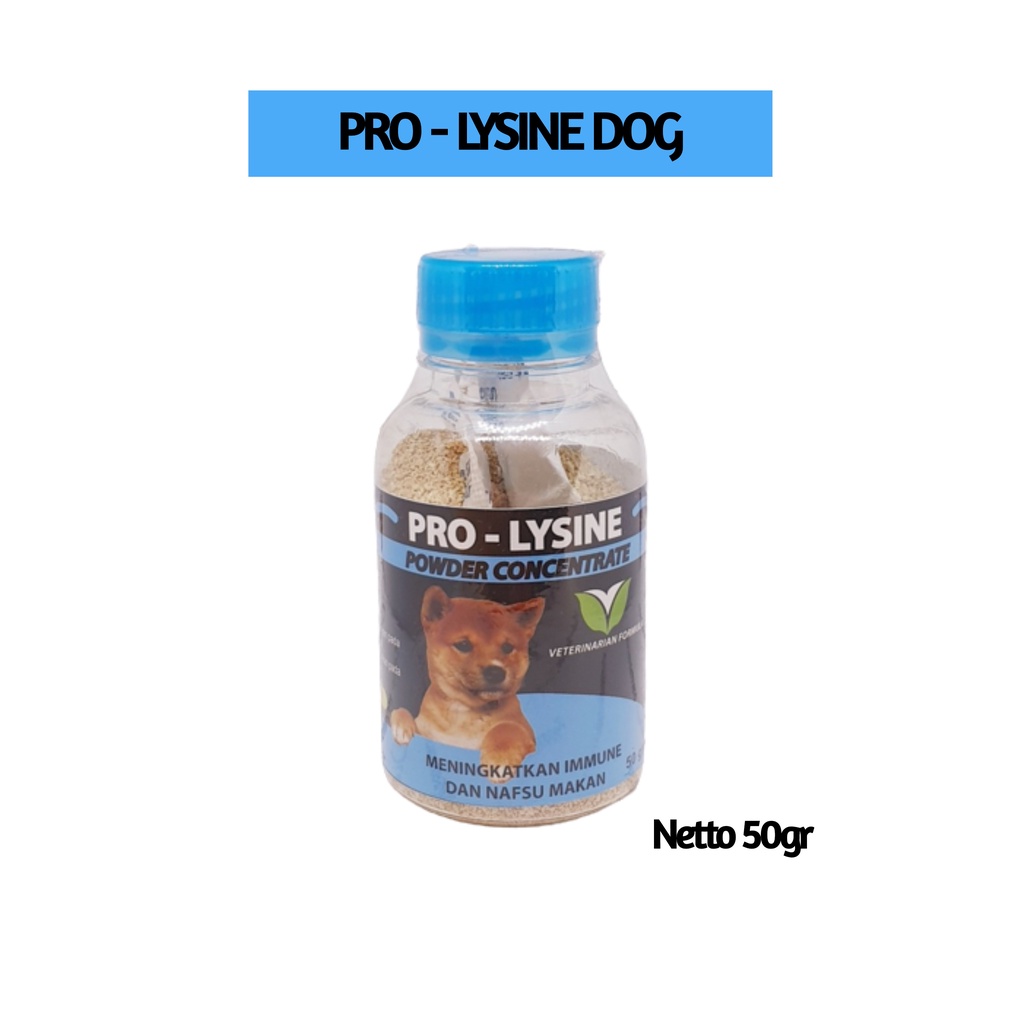 Pro Lysine Dog Vitamin Medication to Increase Appetite and Immune for ...